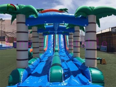 Cina Scorrevole verde/blu dell'acquascivolo gonfiabile del PVC dei doppi vicoli della selva con la piscina in vendita