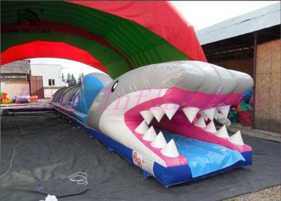 China Tobogán acuático inflable del PVC del tiburón, mini diapositiva de encargo de la ciudad que emociona que sorprende en venta