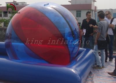 Cina La palla umana gonfiabile del criceto variopinto TPU/del PVC per l'acqua parcheggia le partite a baseball in vendita