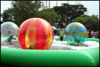 Cina PVC su misura diametro Wak di Misto-colore 2m sulla palla dell'acqua per il parco dell'acqua in vendita