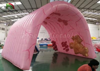 Cina Tenda gonfiabile durevole della tenda di evento/intestino crasso di simulazione per esposizione medica in vendita