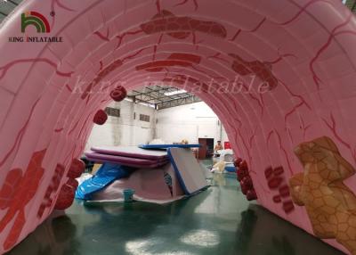 Cina Tenda gonfiabile durevole della tenda di evento/intestino crasso di simulazione per esposizione medica in vendita