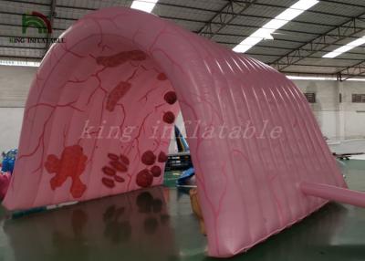 Cina Tenda gonfiabile durevole della tenda di evento/intestino crasso di simulazione per esposizione medica in vendita