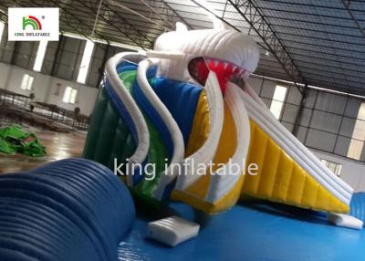 Cina Piscina gonfiabile del fumetto gigante con il doppio cucito dello scorrevole laterale due in vendita