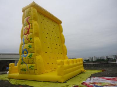 China Funny Giant Inflatable Sports Games / Climbing Wall For Amusement Park Equipment For Family for sale