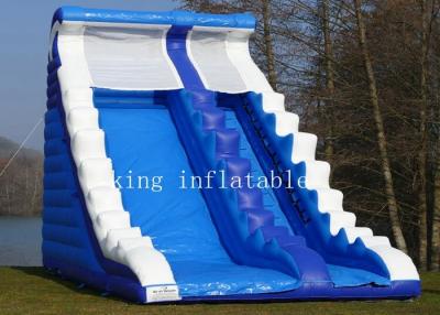 Cina Acquascivolo gonfiabile della tela cerata 0.55mm del PVC degli adulti dei bambini con la dimensione di Custmized in vendita