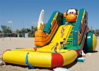 China 9m Long Inflatable Monkey Water Slide With Removable Pool for sale
