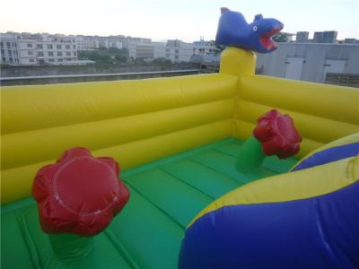 Cina Parco di divertimenti gonfiabile dell'interno ed all'aperto per i bambini/piccolo castello gonfiabile in vendita