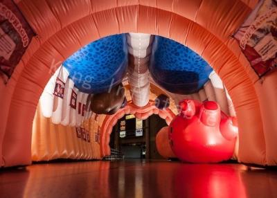 China Inflatable Event Tent Human Body With Organs for Exhibition nylon fabric for sale