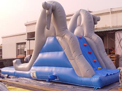 Cina Stagno gonfiabile commerciale dell'acquascivolo per i giochi di divertimento dei bambini in vendita