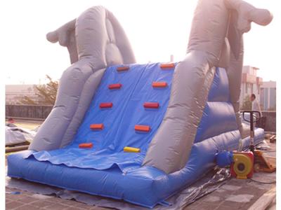 Cina Stagno gonfiabile commerciale dell'acquascivolo per i giochi di divertimento dei bambini in vendita