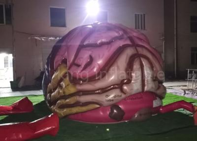 China Exhibition Inflatable Simulation Human Brain Model For Medical Show for sale