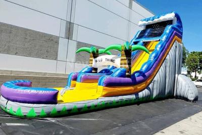 China Custom Design Inflatable Water Slide With LED Light For Rental Business for sale