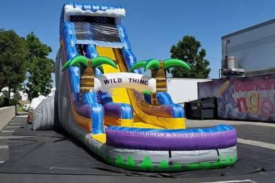 China Custom Design Inflatable Water Slide With LED Light For Rental Business for sale