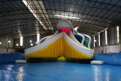 China Giant Inflatable Water park Suit with White Shark Water Slide and float toys for sale