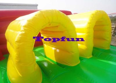 China De aangepaste Opblaasbare Hindernis van Waterparken/Opblaasbare Waterdia met Pool Te koop