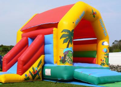 Cina Camere rimbalzante variopinta 22ft x 19ft del castello per la festa di compleanno in vendita