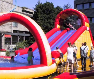 Cina Acquascivolo gonfiabile gigante su misura del PVC di affitto per il cortile in vendita