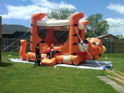 Cina Il PVC ha ricoperto il fumetto Tiger Inflatable Bouncer Castle Blow sul castello di salto in vendita