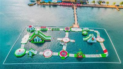 Cina L'acqua degli adulti salta la corsa ad ostacoli dei giochi del parco dell'acqua di Infaltable in vendita