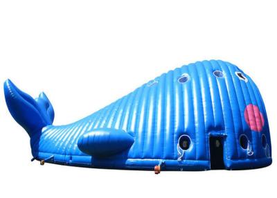 China Tienda inflable del acontecimiento de la ballena azul gigante de la historieta para el anuncio publicitario en venta