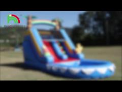 Glissière d'eau en PVC commercial Glissière gonflable pour enfant Glissière gonflable avec piscine Glissière sèche humide adulte