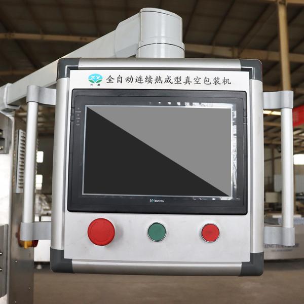 Quality High Productivity Automatic Thermoforming Dates Vacuum Packing Machine for Fresh for sale