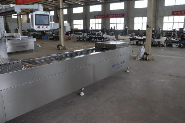 Quality High Productivity Automatic Thermoforming Dates Vacuum Packing Machine for Fresh for sale