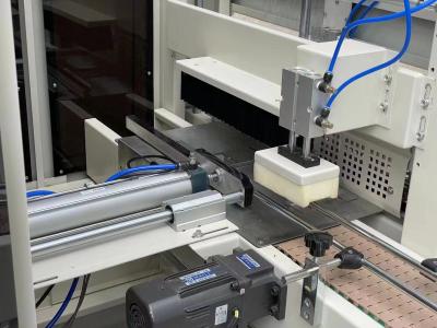 Cina Macchina di confezionamento a calore completamente automatica per bottiglie di birra competitiva in vendita