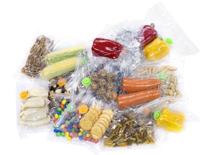 Cina Macchina per imballaggio a vuoto per uso domestico perfetto per tessili e conservazione alimentare in vendita
