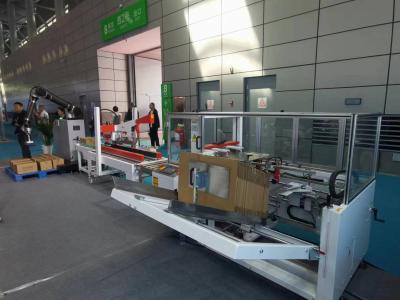 China IP65 Packaging Line with Case Carton Bag Box Erector Folding Sealer Palletizer System for sale