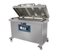China Large Work Table Dz400 Single Chamber Brick Vacuum Packing Machine for Rice and Fish for sale