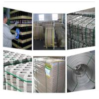 China Handheld Electric Strapping Tool for Plastic Packaging Material in Boxing Machine for sale