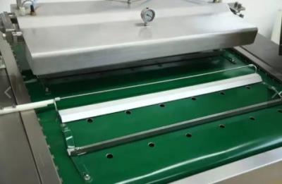 China Automatic Continous Rolling Belt Type Vacuum Packaging Machine for Fruit Meat Fish Chicken for sale