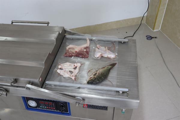 Quality 100pump Vacuum Pump Automatic Industrial Double Large Chamber Food Sealing for sale