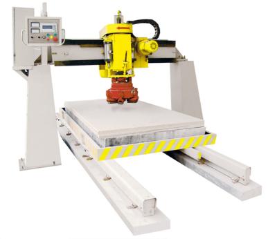 China DTM-900-1800 Bridge Single Head Automatic Polisher for sale