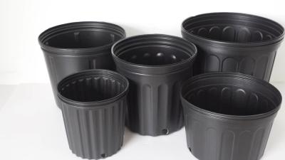Cina Vaso di plastica nero BN210 della pianta di serie 8 in vendita