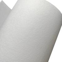 Quality 200-500g/M2 Polyester Cartridge Dust Filter Cloth High Rigidity for sale