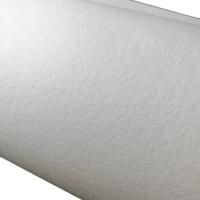 Quality Industrial Needle Felt Filter Fabric Membrane Cloth Cartridge Media for sale