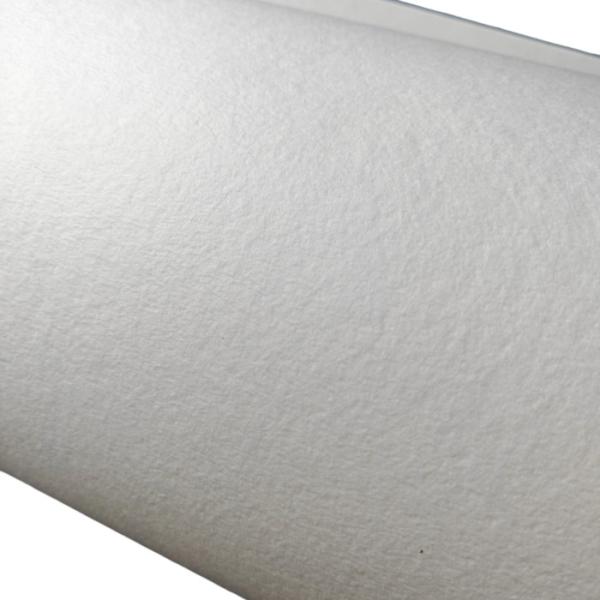 Quality Industrial Needle Felt Filter Fabric Membrane Cloth Cartridge Media for sale