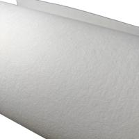 Quality Needle Felt Antistatic Filter Cloth Cartridge Media For Industrial Dust for sale