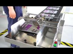 CIJ TTO LASER PRINTERS DOUBLE MOTOR PAGING MACHINE