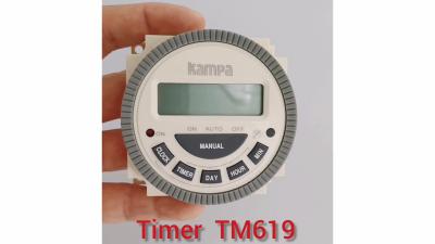 China TM619 16A 220V Frontier daily weekly digital programmable time switch for sale