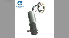 worm gear motor