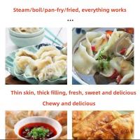 China Full Automatic Dumpling Wonton Samosa Machine for Restaurant and Canteen Needs for sale