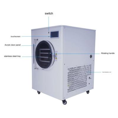 China 2024 Best Sellers Vegetable Fruit Dehydrate Freeze Dryer for Processing Types for sale