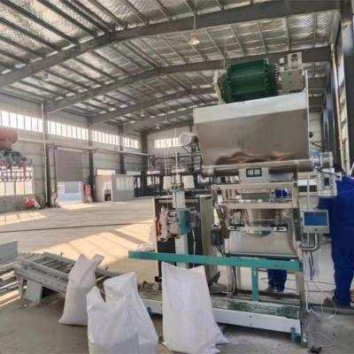 China Food Bag Making Sealing 3m Conveyor Belt Sachet Granule Packaging Machine 3-5bags/min for sale