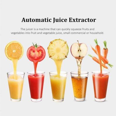 Cina Estrattore di succo con progettazione di uscita di scorie aumentata e velocità di rotazione di 2800 giri al minuto 24 kg di peso in vendita