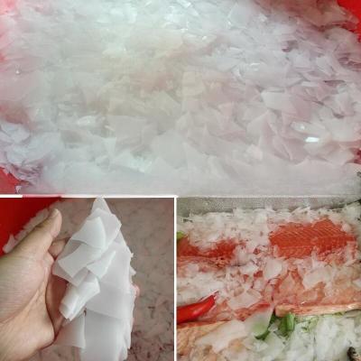China 300kg/24h Ice Production Ice Flake Machine with 1.8-2.5mm Thickness and 220V/50Hz Voltage for sale