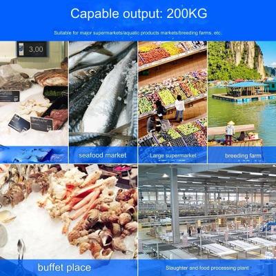 China 300kg/24h Ice Production Ice Flake Machine with 1.8-2.5mm Thickness and 220V/50Hz Voltage for sale